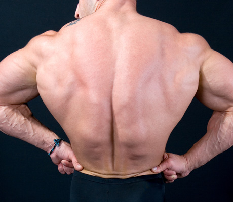 Bodybuilding for hardgainers and other bodybuilders.